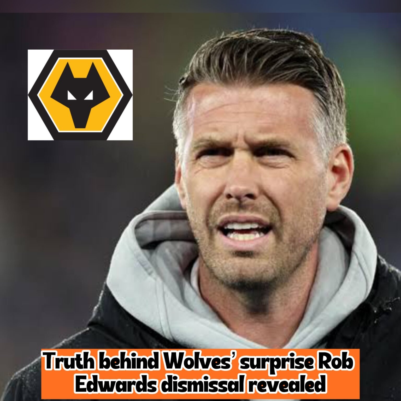 Wolves’ decision to sack Rob Edwards explained as new details emerge ...